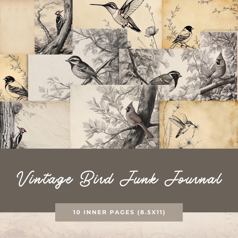 Vintage Bird Sketch Junk Journal Pages, Printable Paper (digital ...