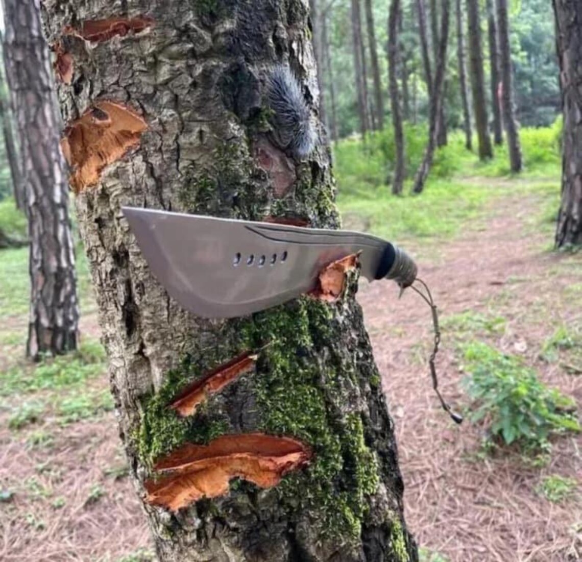 Custom Handmade Carbon Steel Blade Eli Machete Sword | Hunting Sword ...