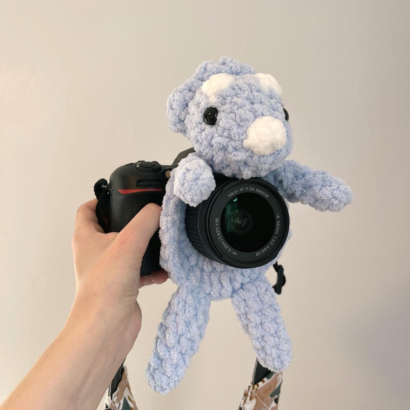 Camera Buddy - Etsy