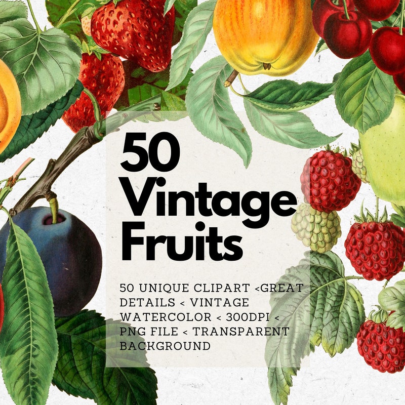 Fruit Watercolor - Etsy