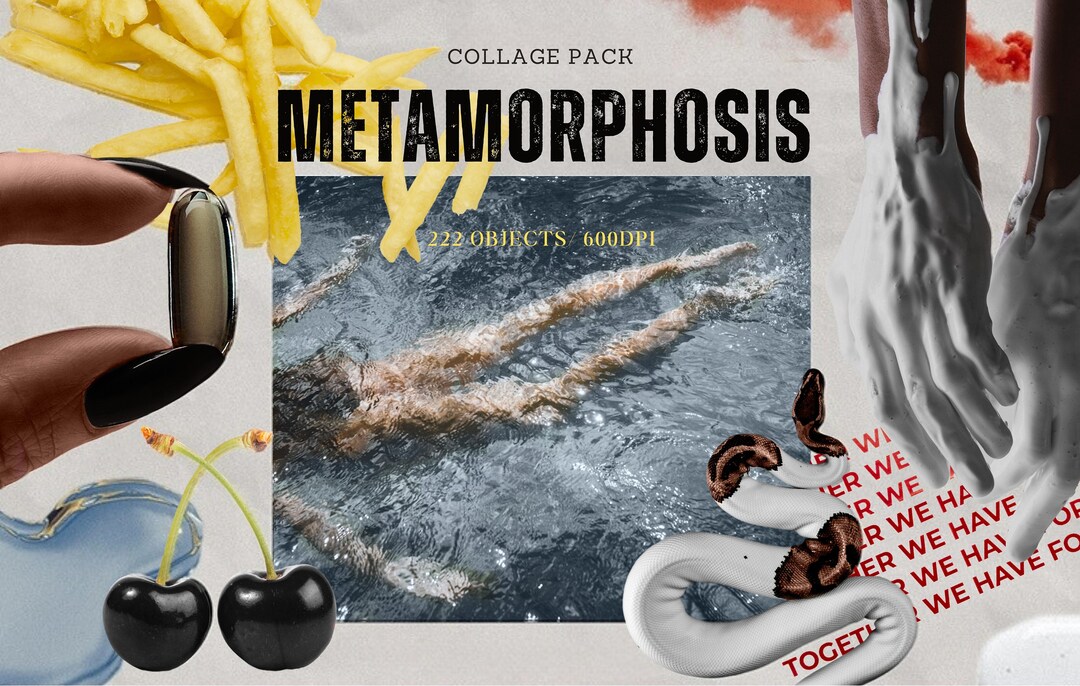 Metamorphosis *six Stages of Grief Collage Pack, 220clipart Bundle, Trendy Retro, Textures ...