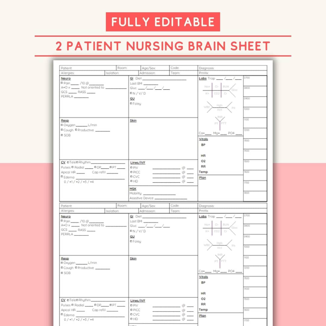 Editable Nursing Brain Sheet for Nurse Report Sheet for Nursing Cheat ...