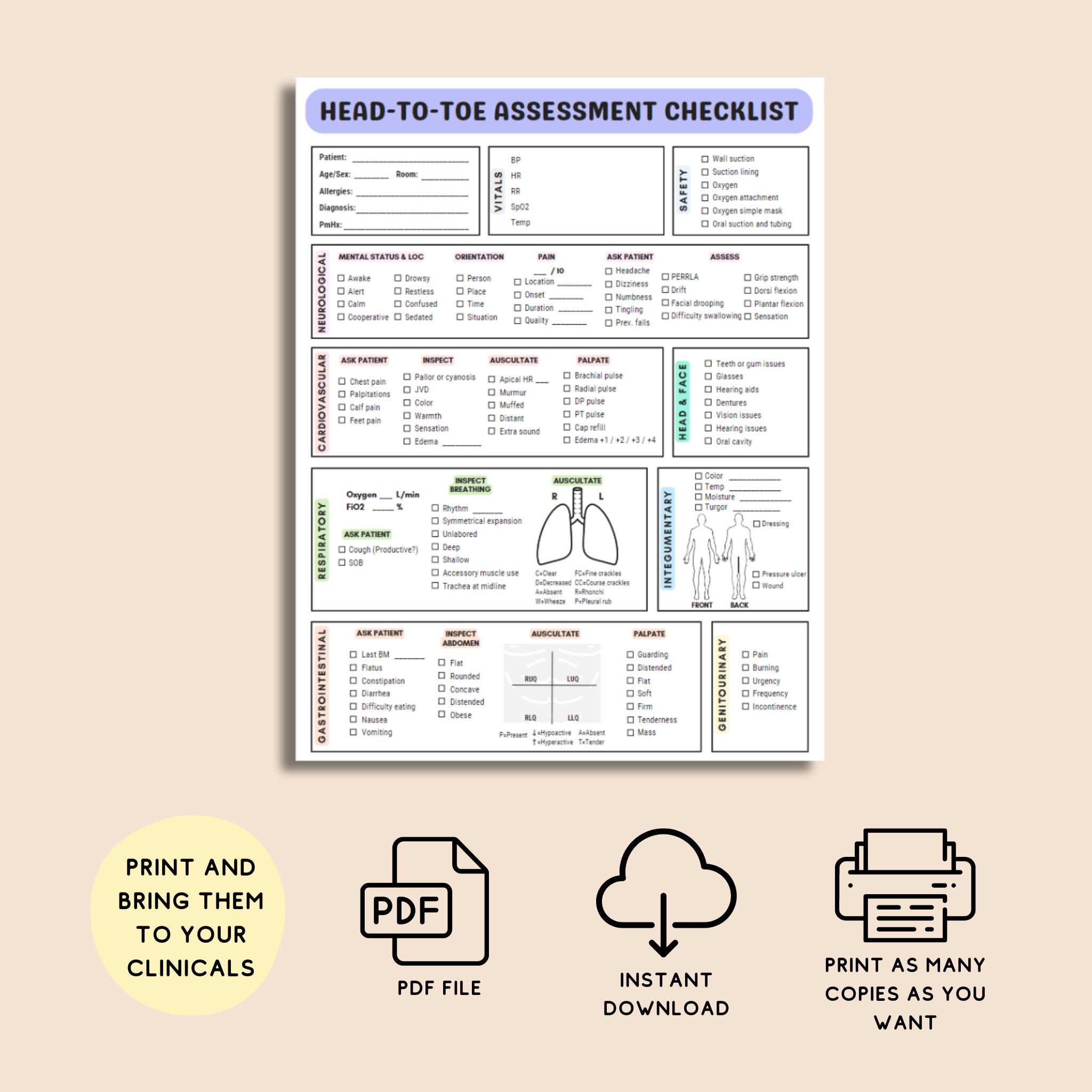 Head to Toe Assessment Template for Nursing Student Head to Toe ...