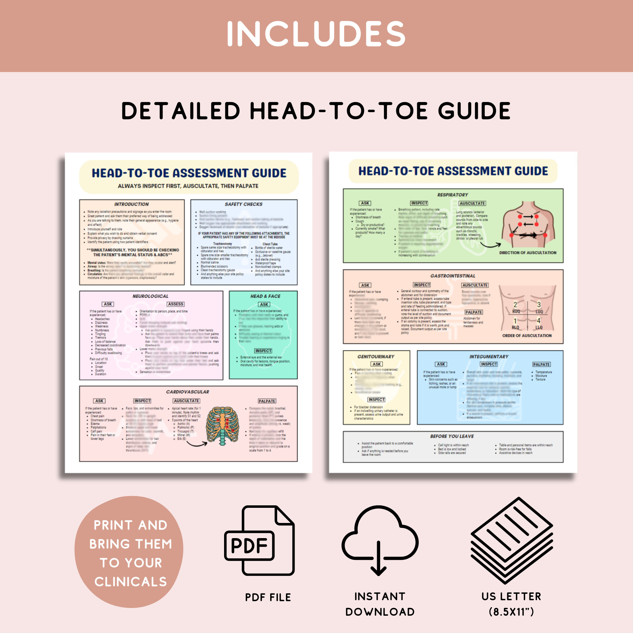 Nursing Head-to-toe Guide for Nursing Student Head to Toe Assessment ...
