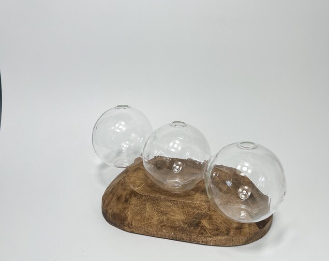 Caterpillar Clear Glass Bubble Bud Vase Floral Arrangement Centerpiece ...