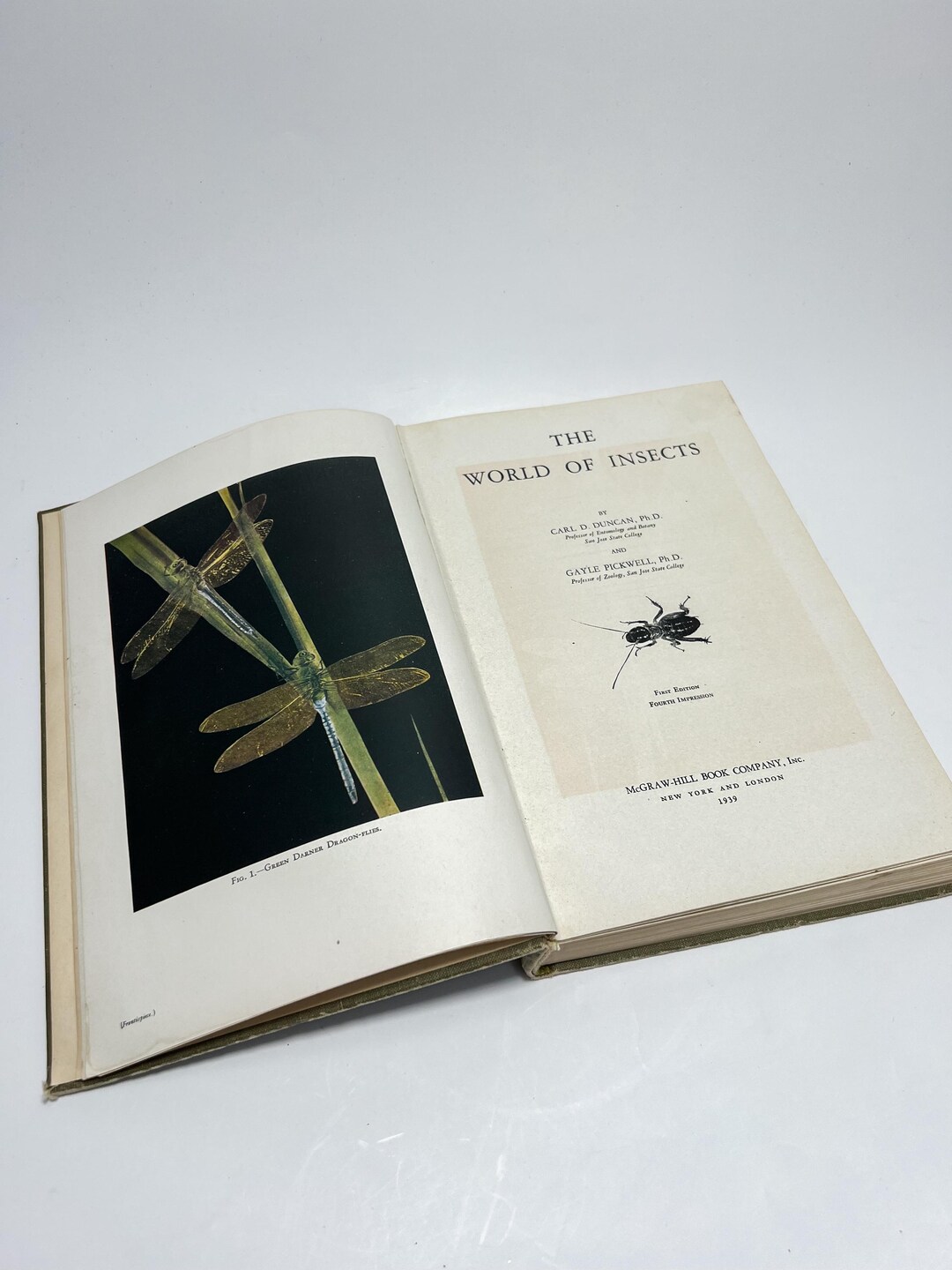 1939 the World of Insects by Carl Duncan and Gayle Pickwell Mcgraw-hill ...