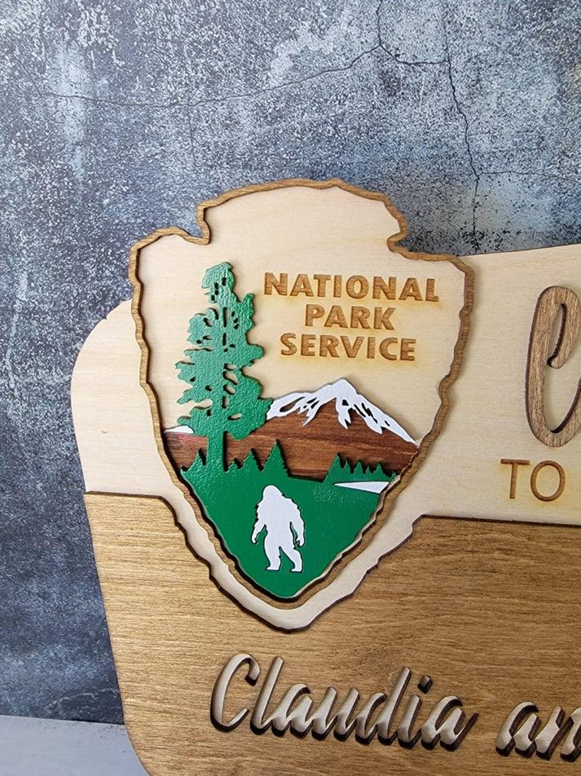 National Park Service Welcome Sign, Camp Wedding Sign Personalized ...