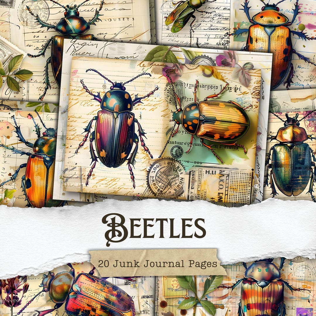 Beetle Junk Journal Pages Vintage Insect Ephemera Entomology Printables ...