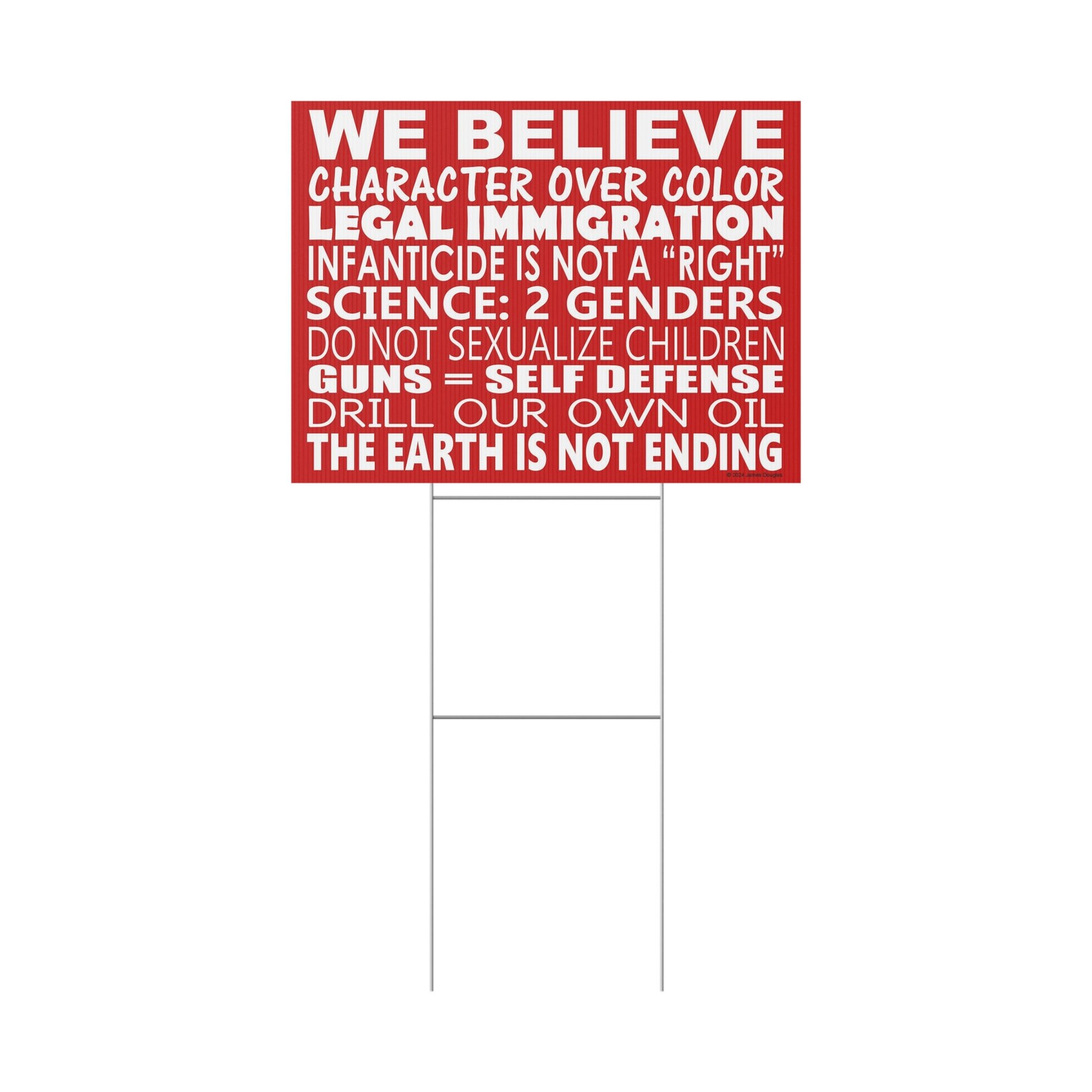 Conservative we Believe Yard Sign - Etsy