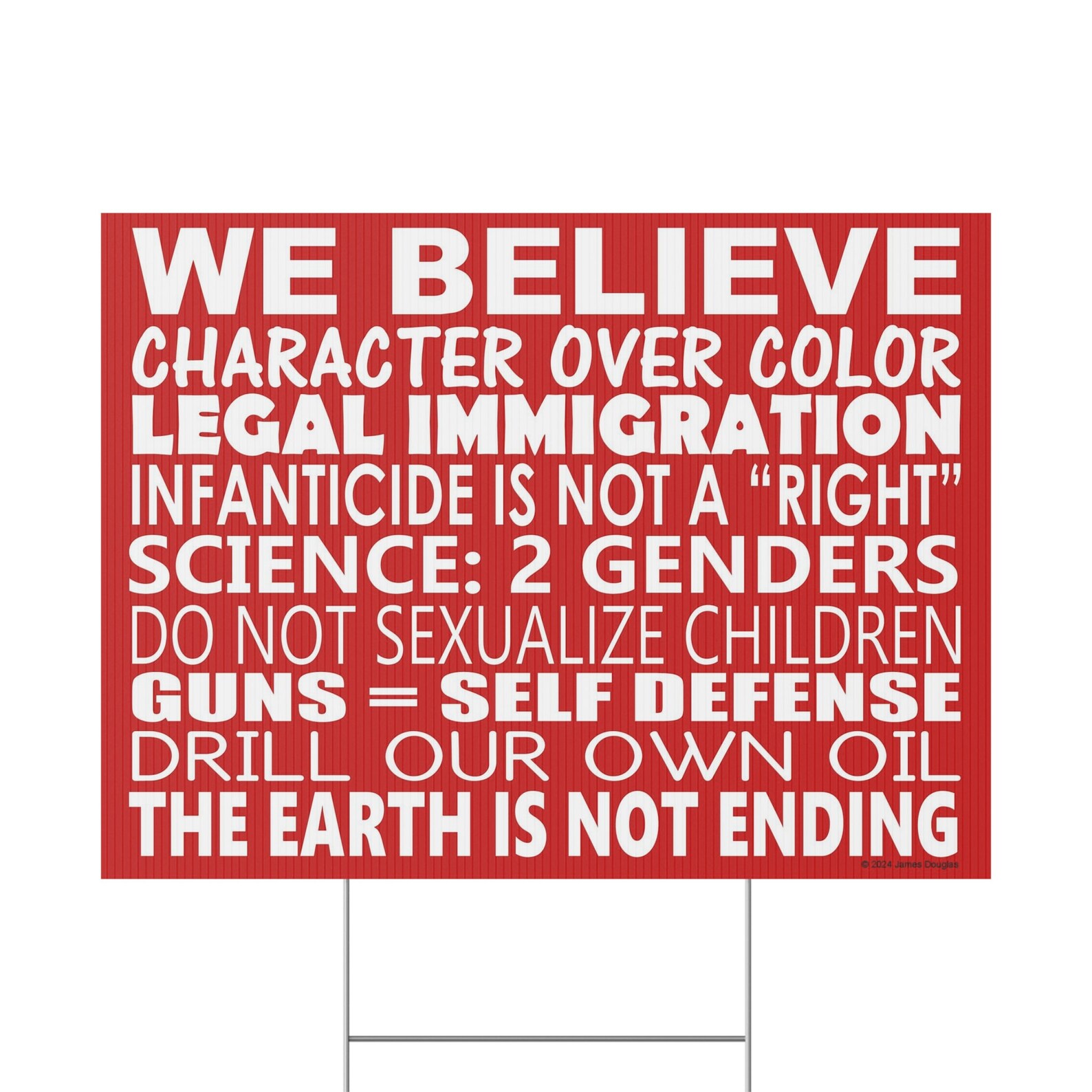 Conservative we Believe Yard Sign - Etsy