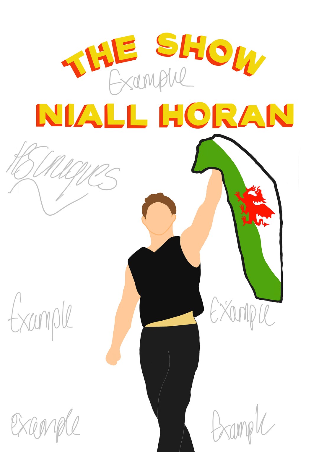 Niall Horan the Show Print Cardiff 2024 - Etsy