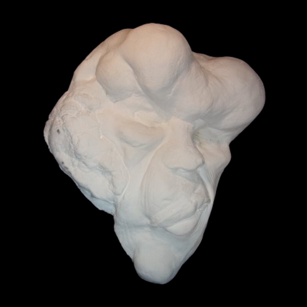 The Elephant Man Death Mask - Etsy