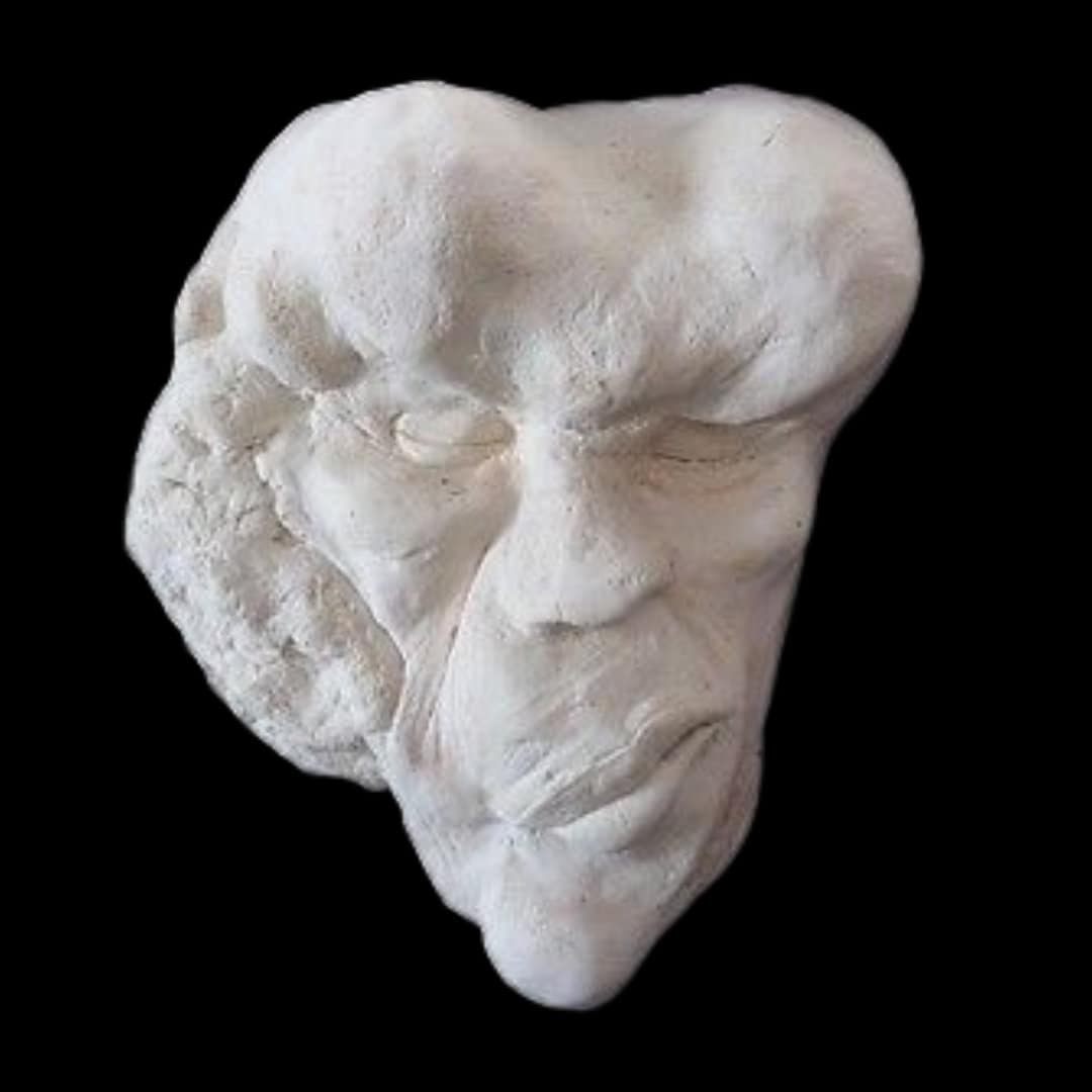 The Elephant Man Death Mask - Etsy