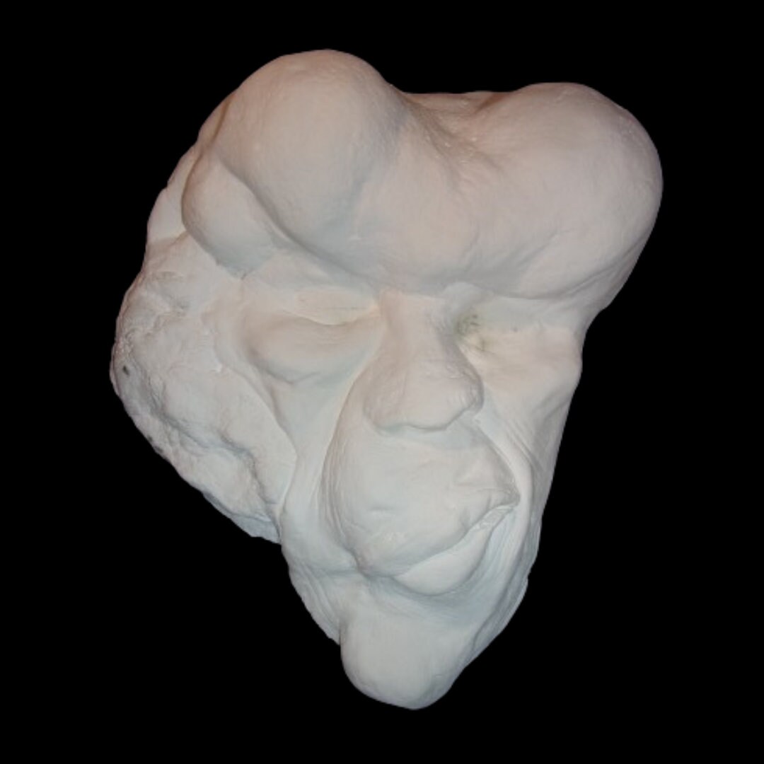 The Elephant Man Death Mask - Etsy