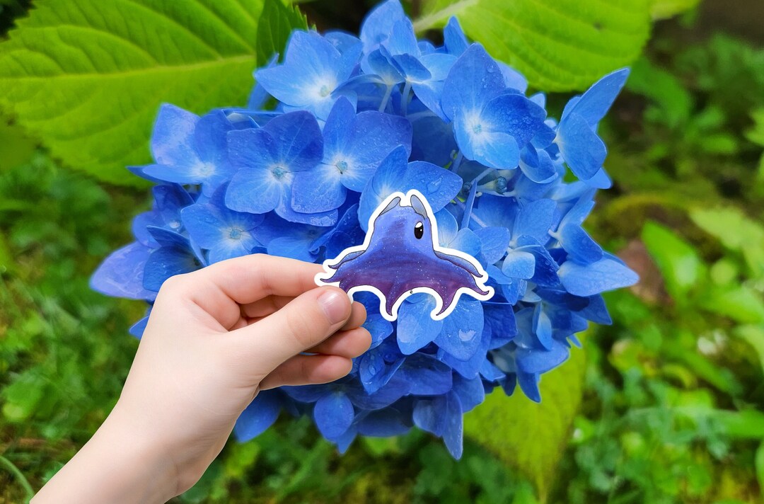 Unique Hand Drawn Dumbo Octopus - Perfect for Notebooks and Planners - Etsy