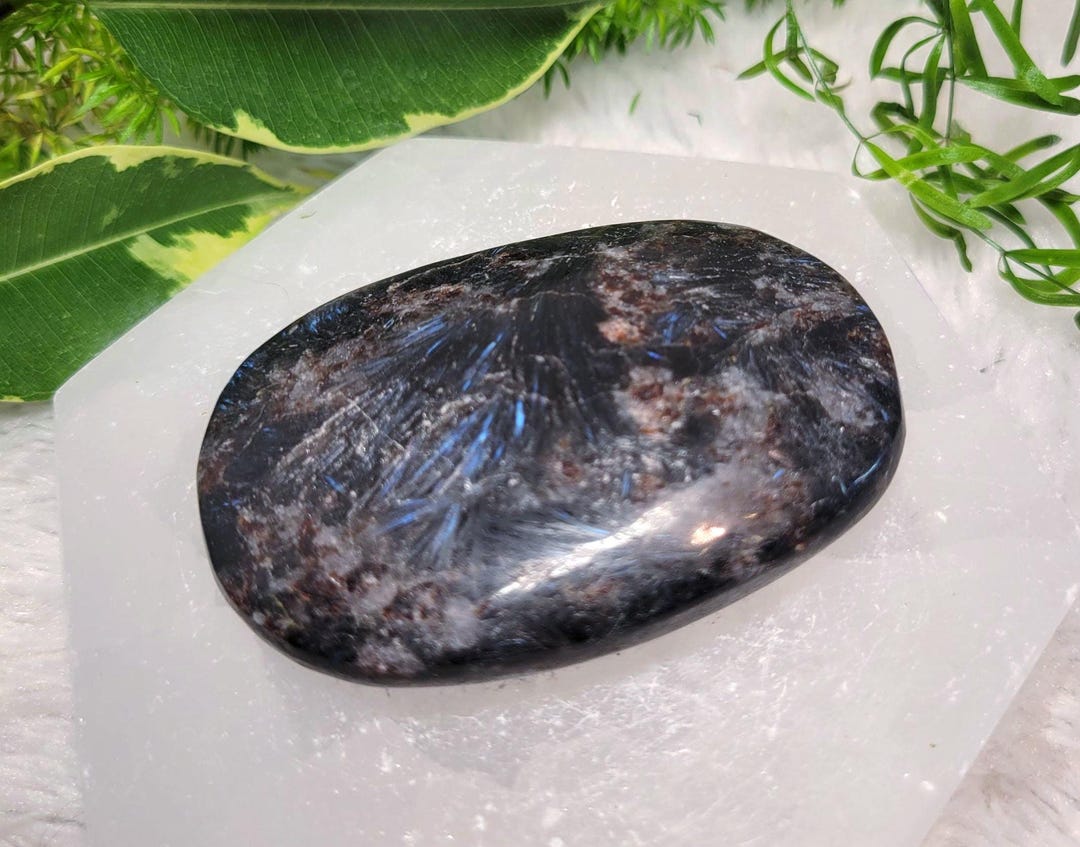 Astrophyllite/fireworks Stone/ Palm Stone Large: 2.9" Exotic Gemstone ...