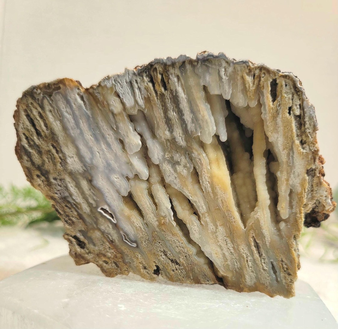 Coral Head Geode: 4.25" Rare Sparkly Druzy Stalactite Cave Specimen 30 ...