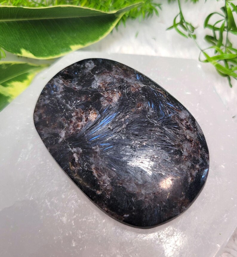 Astrophyllite/fireworks Stone/ Palm Stone Large: 2.9" Exotic Gemstone ...