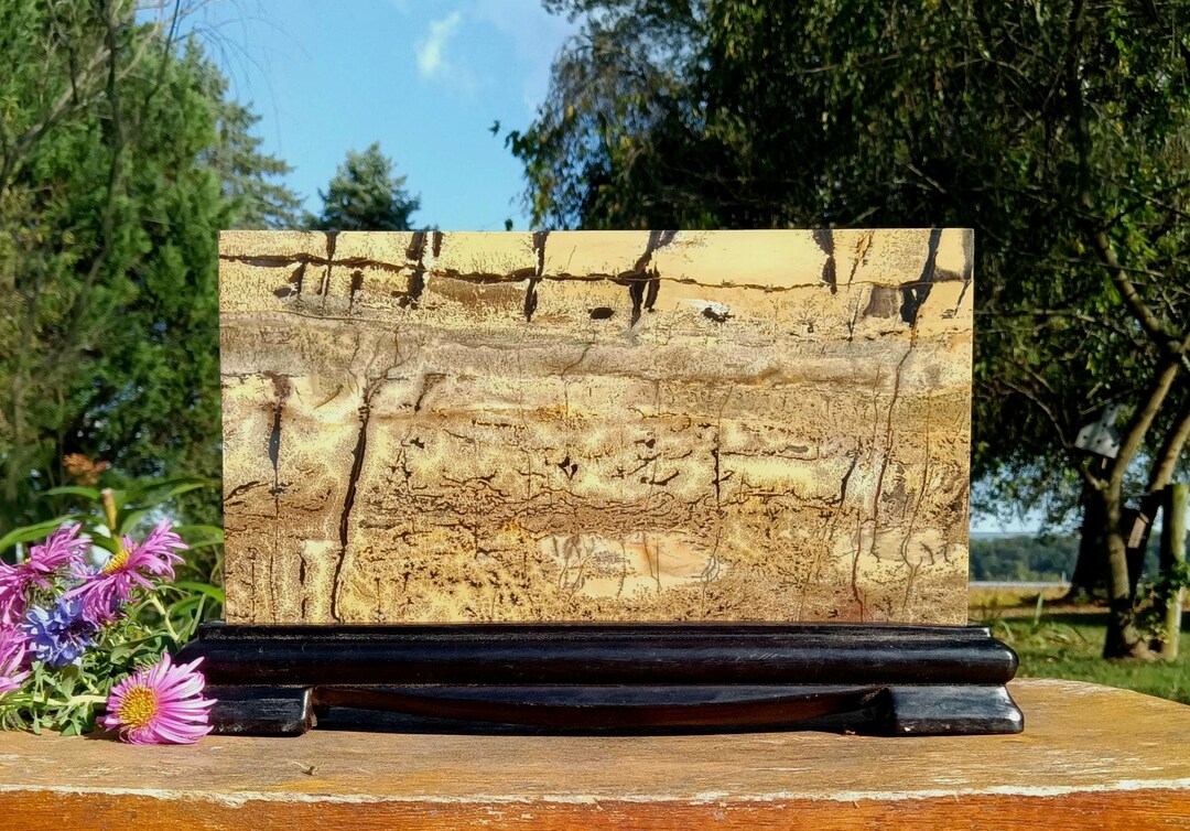 Large Picture Jasper Rectangular Slab on Stand 9.75" - Etsy