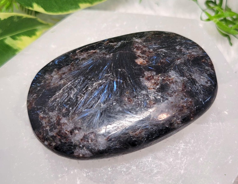 Astrophyllite/fireworks Stone/ Palm Stone Large: 2.9" Exotic Gemstone ...