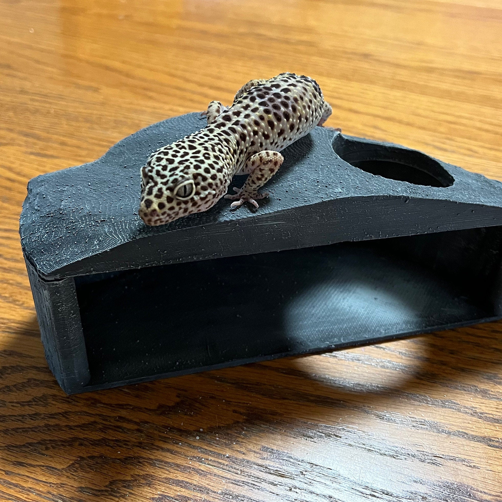 Reptile Terrarium Hide Underground Front Viewing 8"l X 3.25"w X 3"h ...