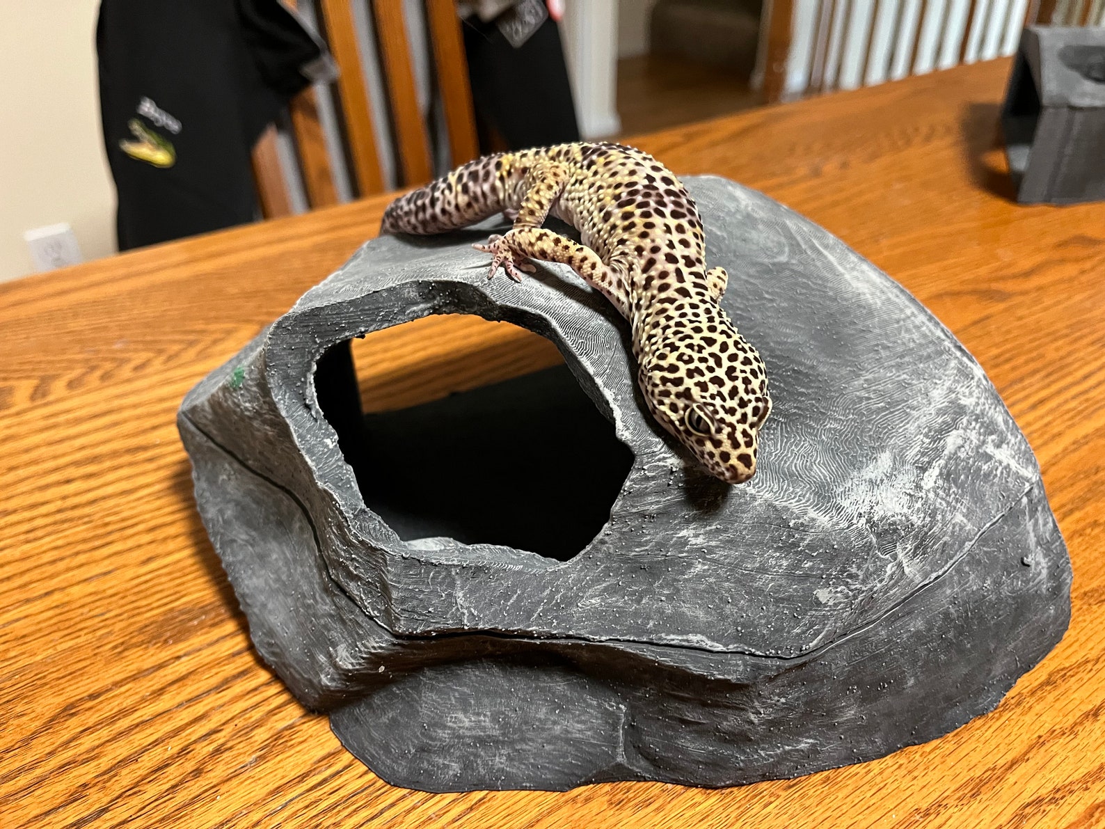 Reptile Terrarium Corner Hide Underground Corner Viewing 8"l X 8"w X 3. ...