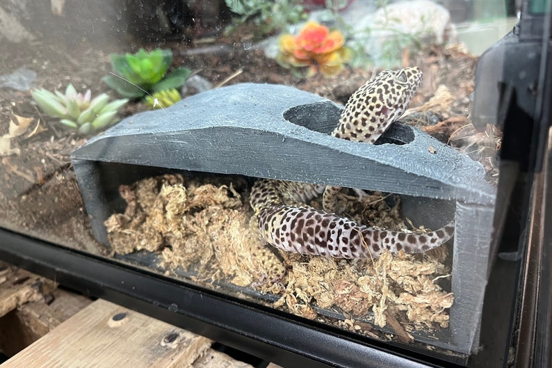 Reptile Terrarium Hide Underground Front Viewing 8"l X 3.25"w X 3"h ...