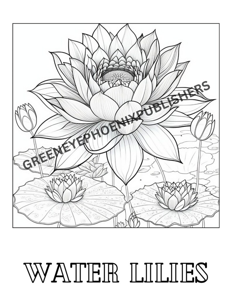COLORING BOOK book, Flowers, Vol 2 , Greyscale, 25 Images, Instant ...