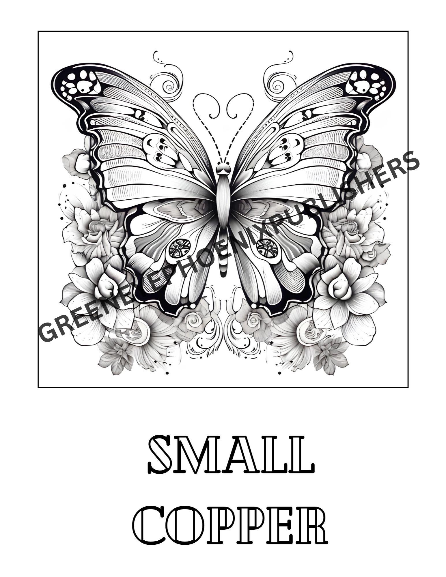 COLORING BOOK book, Butterflies, Vol 2 , Greyscale, 25 Images, Instant ...