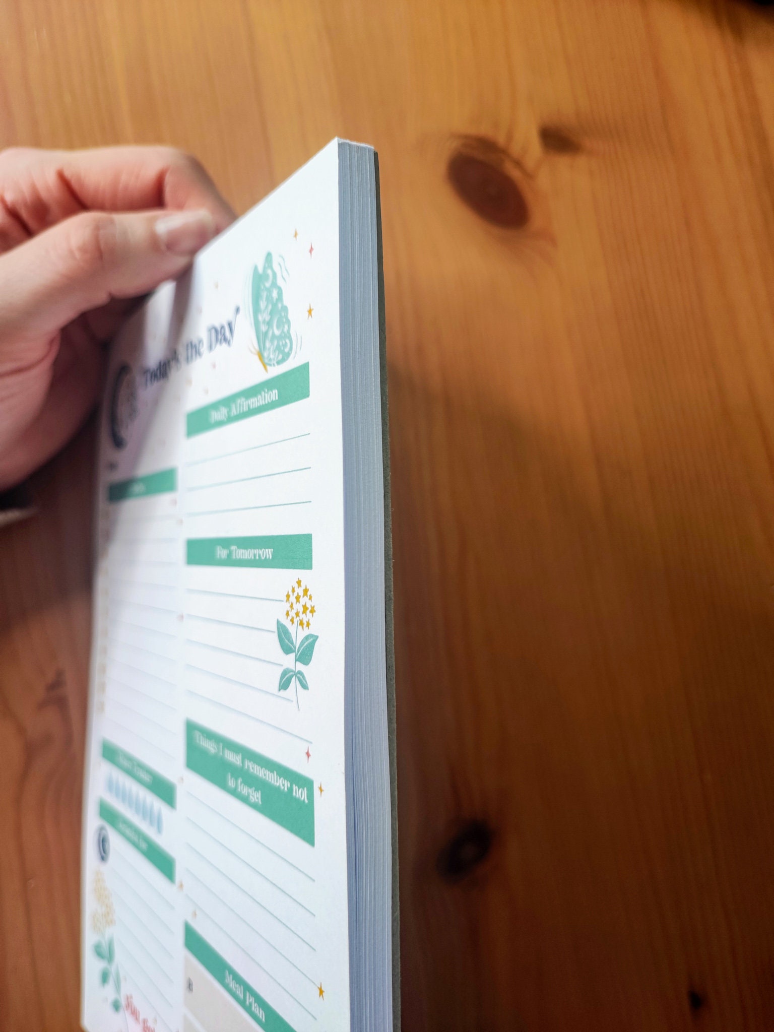 A5 Today's Plan - Daily Planner Pad | to Do List, Everyday Planner, WFH ...