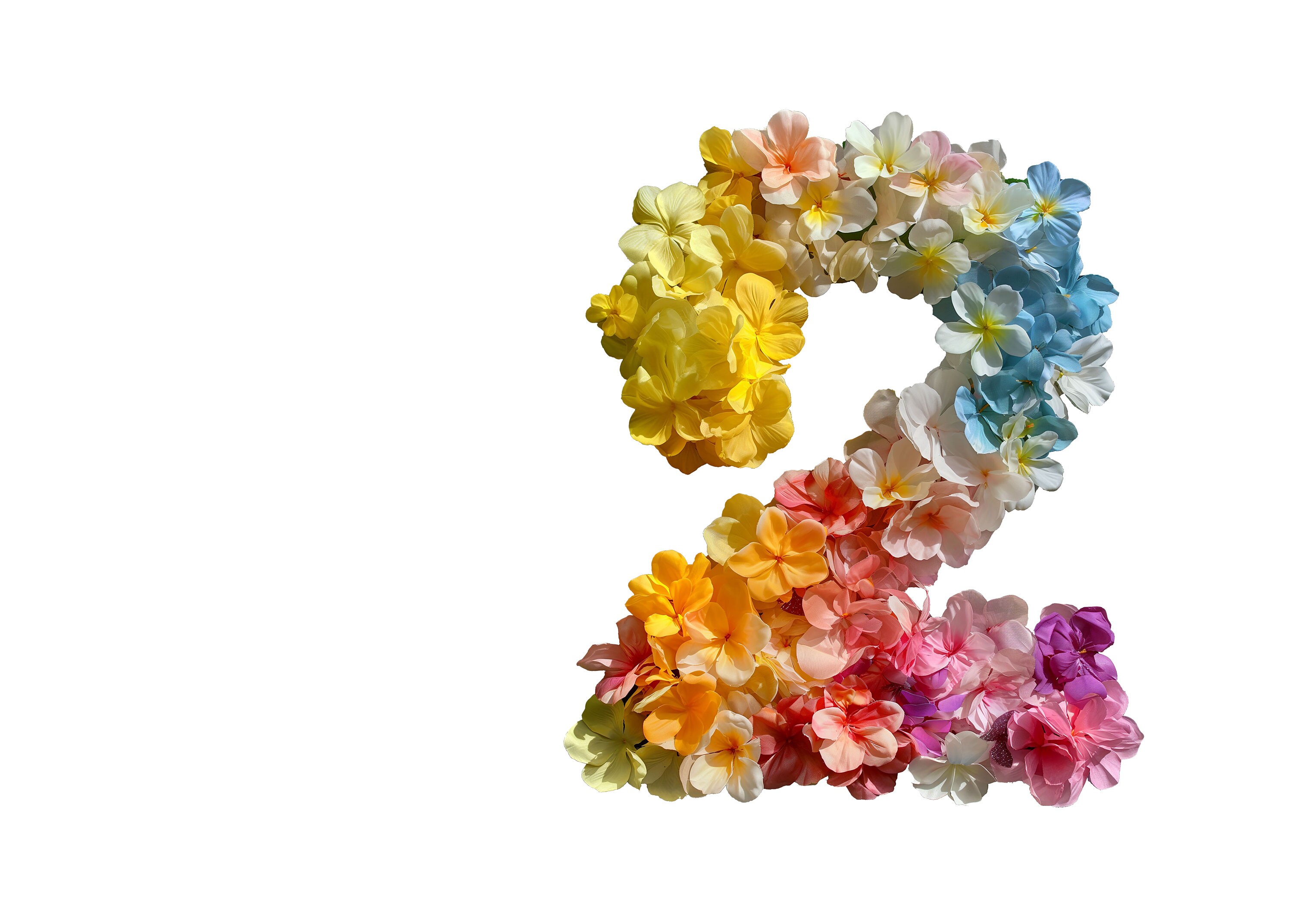 2nd Birthday Background for Photography Compositions / Digital Backdrop ...