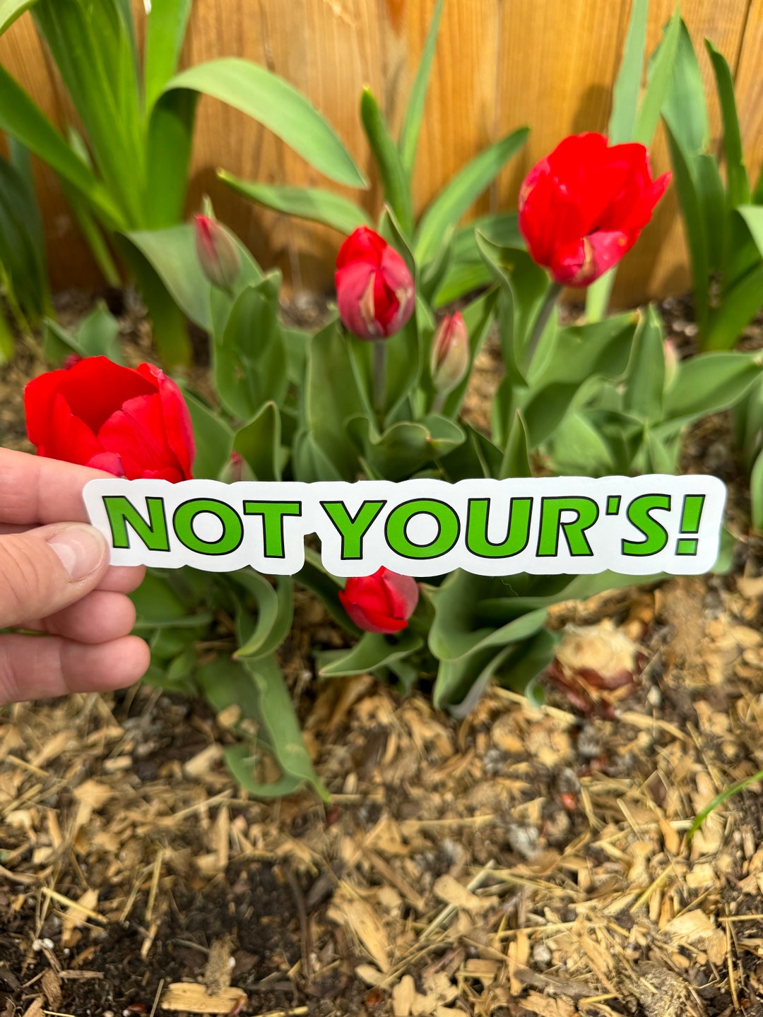 Not Your’s Funny Sticker for Laptop, Water Bottle, Journal, Phone Case ...