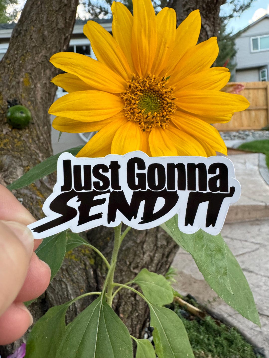 Just Gonna Send It Sticker | Funny Meme Vinyl Decal - Etsy