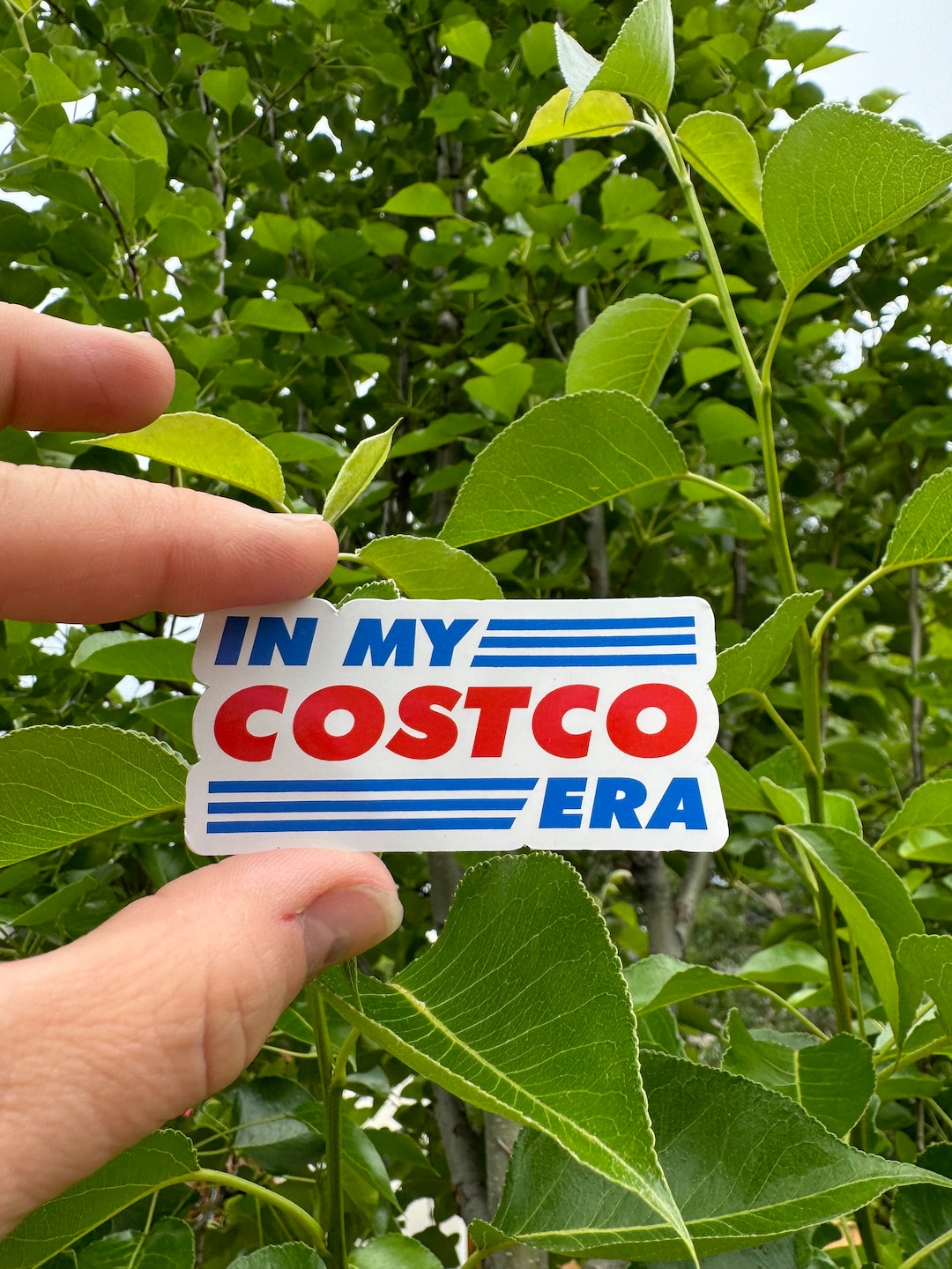 In My Costco Era Sticker, Water Bottle Sticker, Phone Case Sticker ...