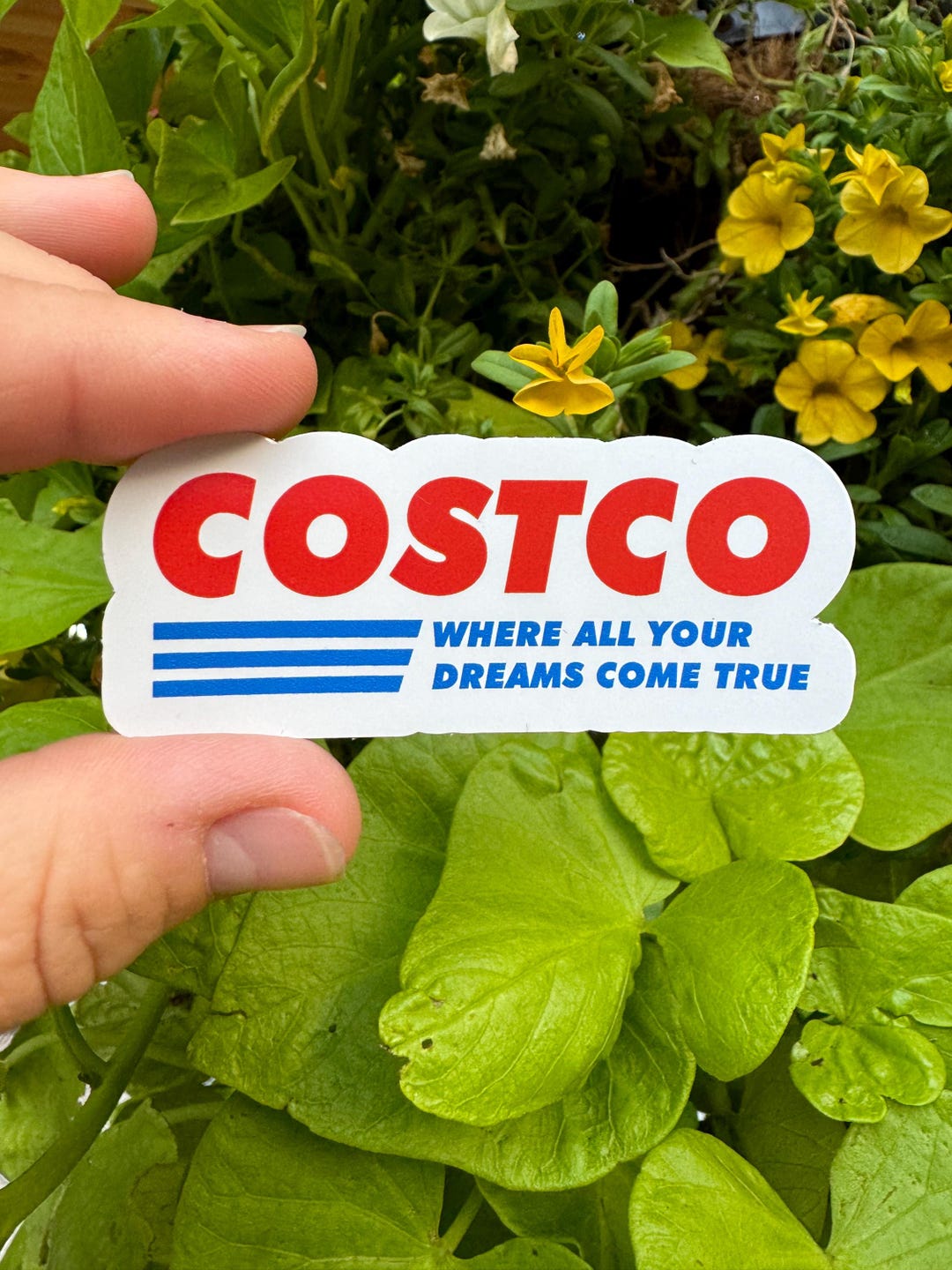 Costco Where All Your Dreams Come True Sticker | Funny Grocery Store ...
