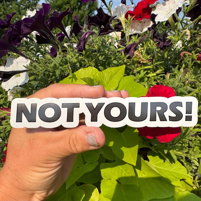 Sassy Stickers - Etsy