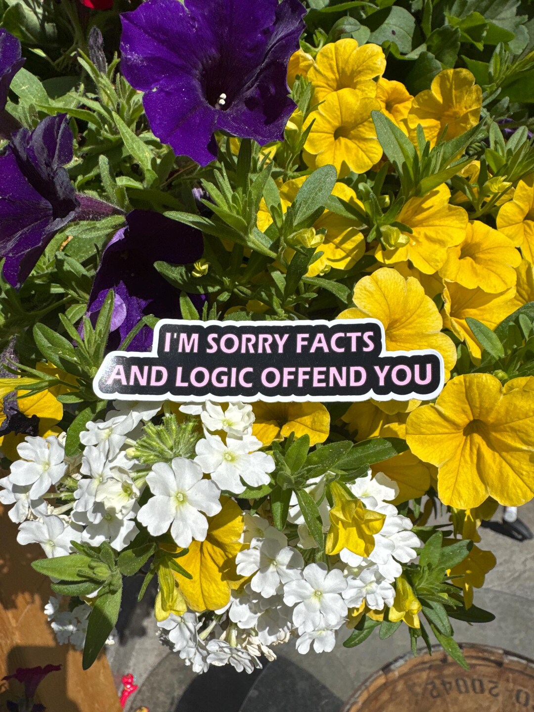 I’m Sorry My Facts and Logic Offend You. Funny, Sarcastic, Adult Humor ...