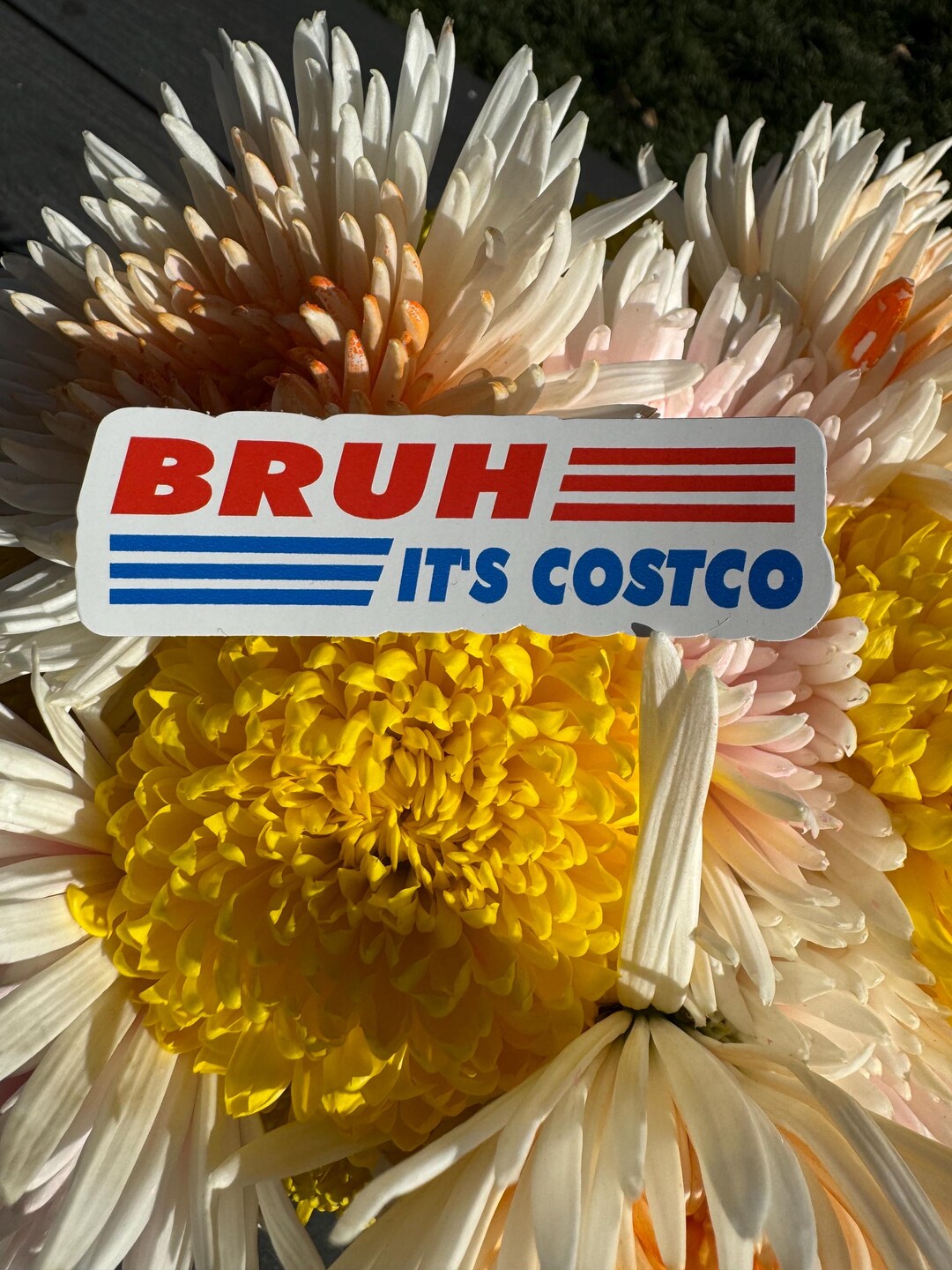 Costco Sticker. Bro Bruh It’s Costco. Water Bottle Sticker, Funny ...