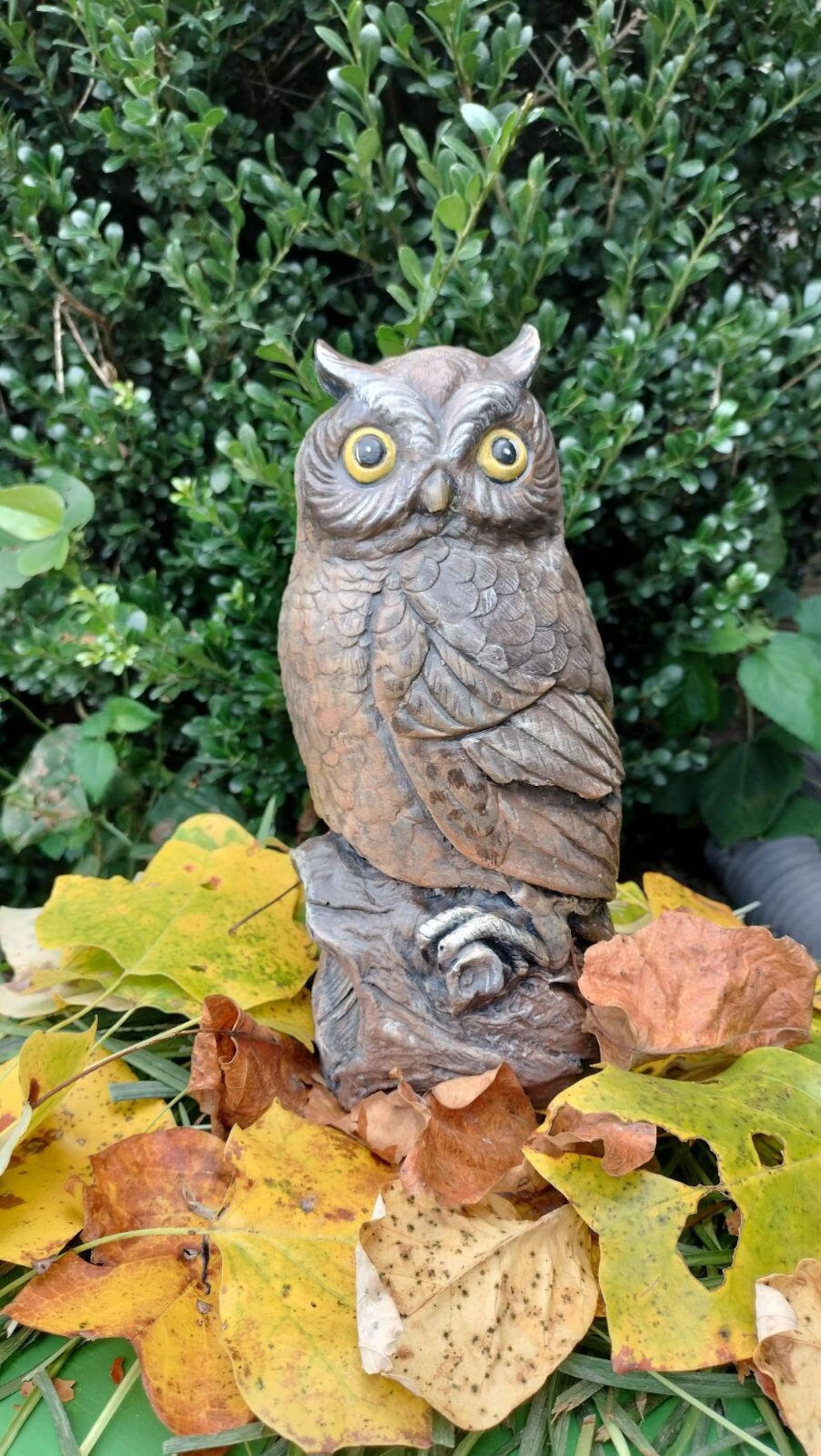 Large Concrete Owl Statue Detail Painted Owl Statuary Cement Realistic ...