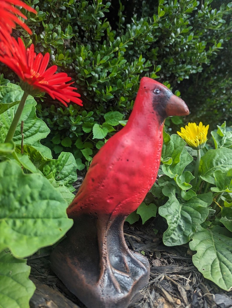 Concrete Cardinal Statue/ Cement Red Bird/ Bird Figurine/ Garden Patio ...