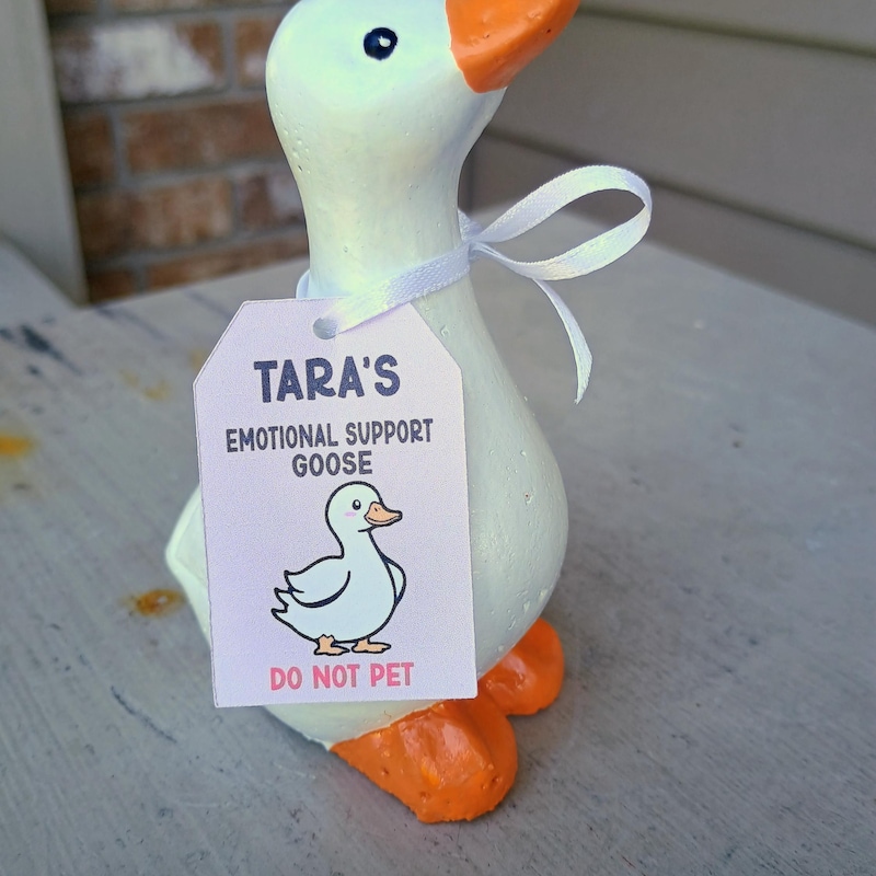 Mini Country Geese - Etsy