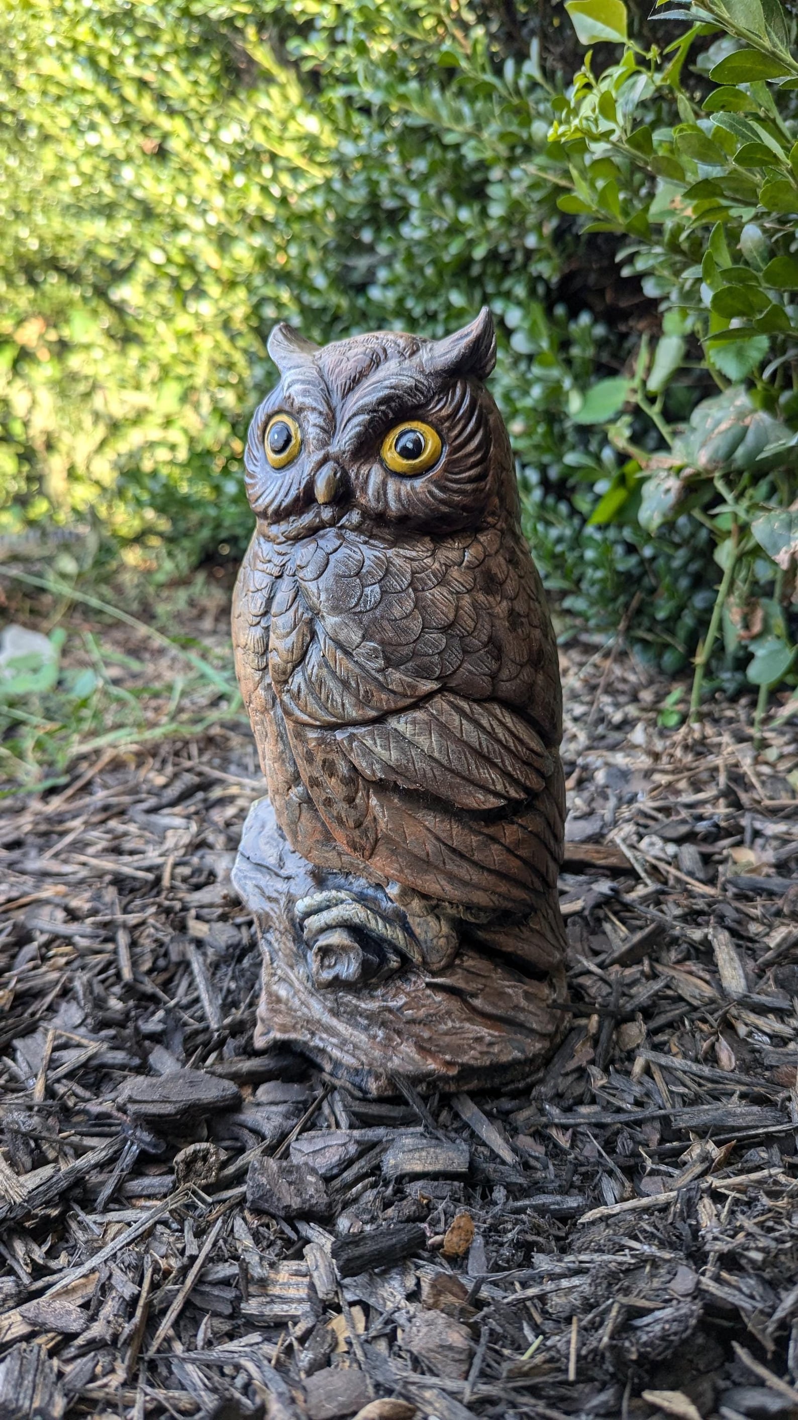 Large Concrete Owl Statue Detail Painted Owl Statuary Cement Realistic ...