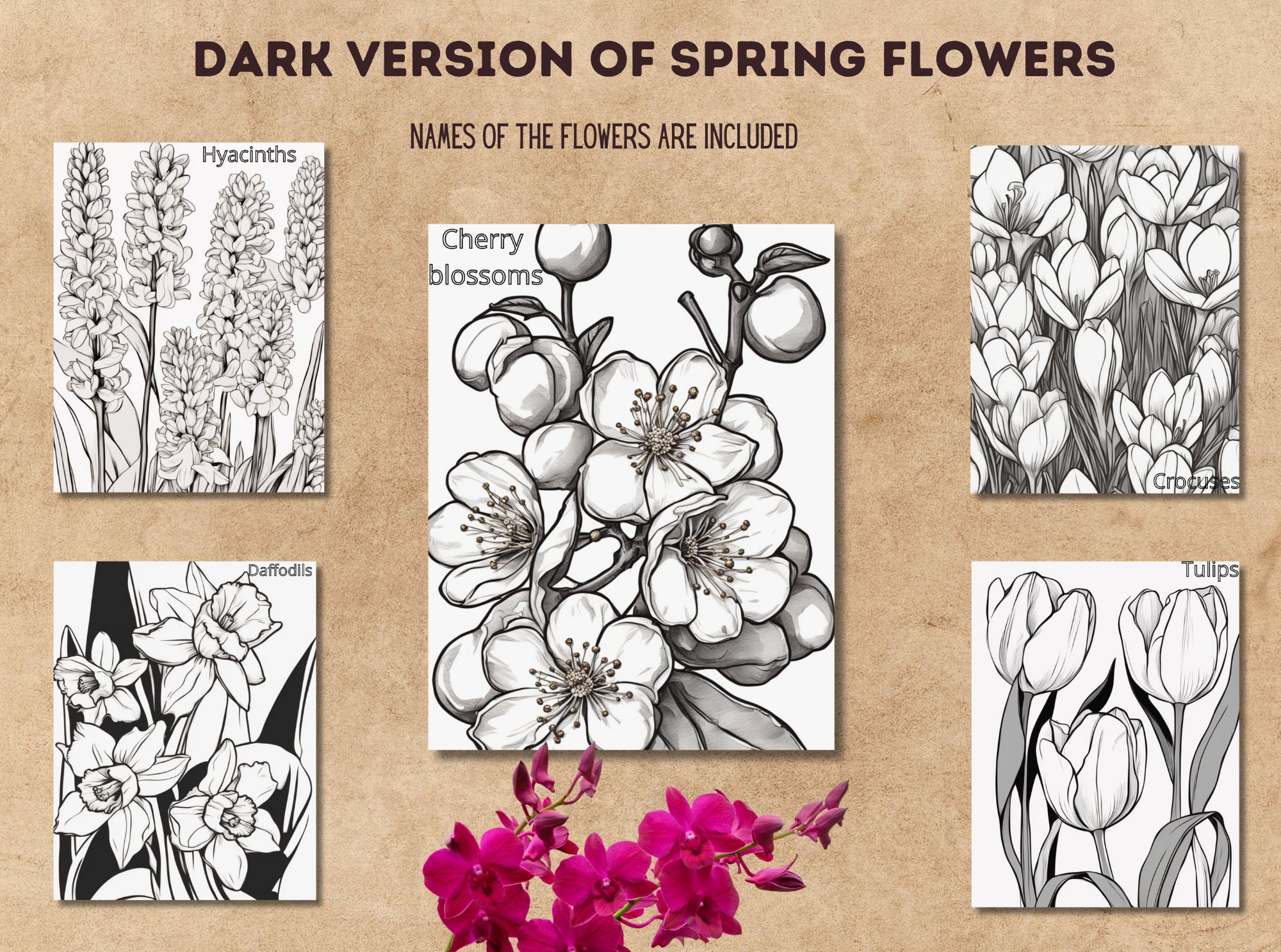 Flowers With Names Coloring Book | Adult and Children Coloring Books ...
