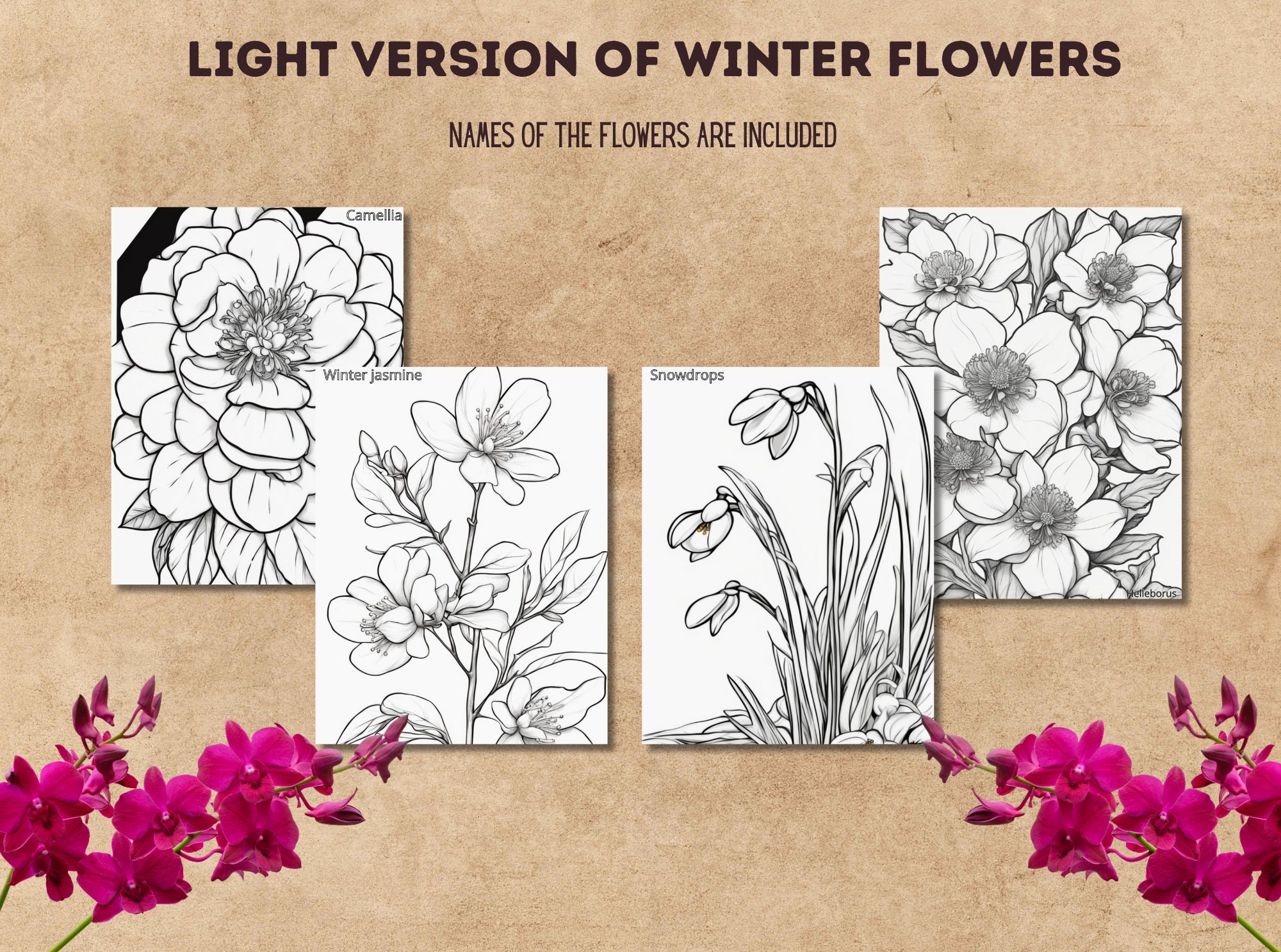 Flowers With Names Coloring Book | Adult and Children Coloring Books ...