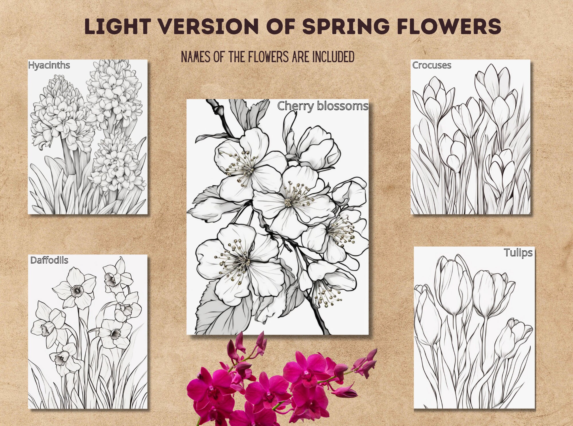 Flowers With Names Coloring Book | Adult and Children Coloring Books ...