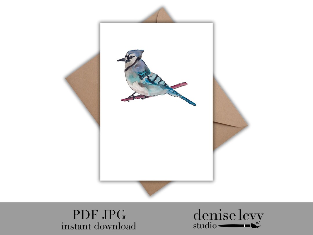 Printable Blue Jay Card, Instant Download, Blue Jay Greeting Card ...