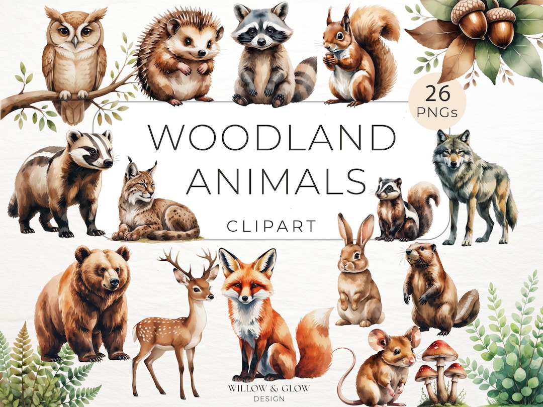 Woodland Animals Clipart Pack - 26 Watercolor Forest Creatures & Cute ...