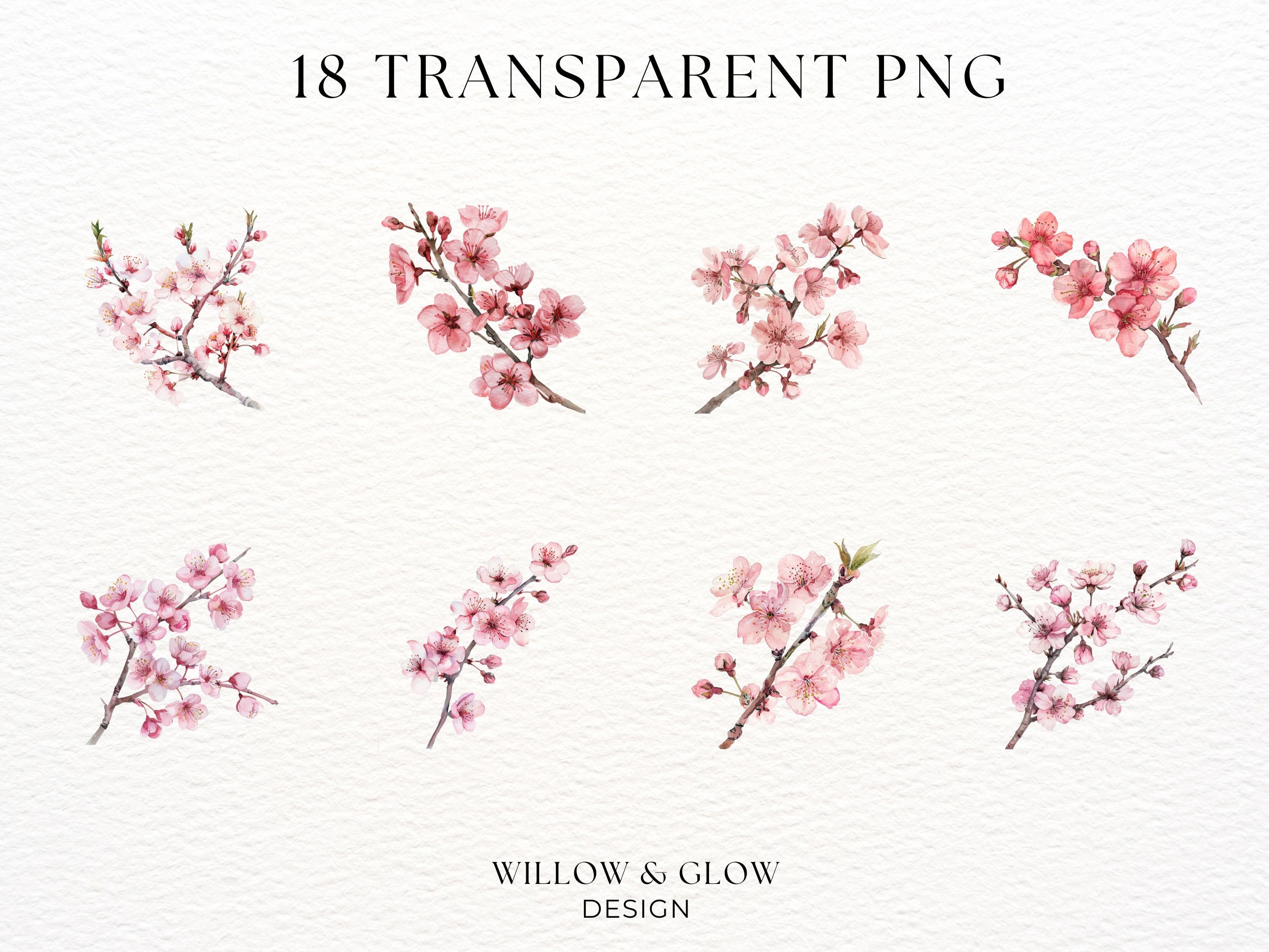 Cherry Blossom Clipart Set Sakura Flower Clipart Watercolor Flower Clip ...