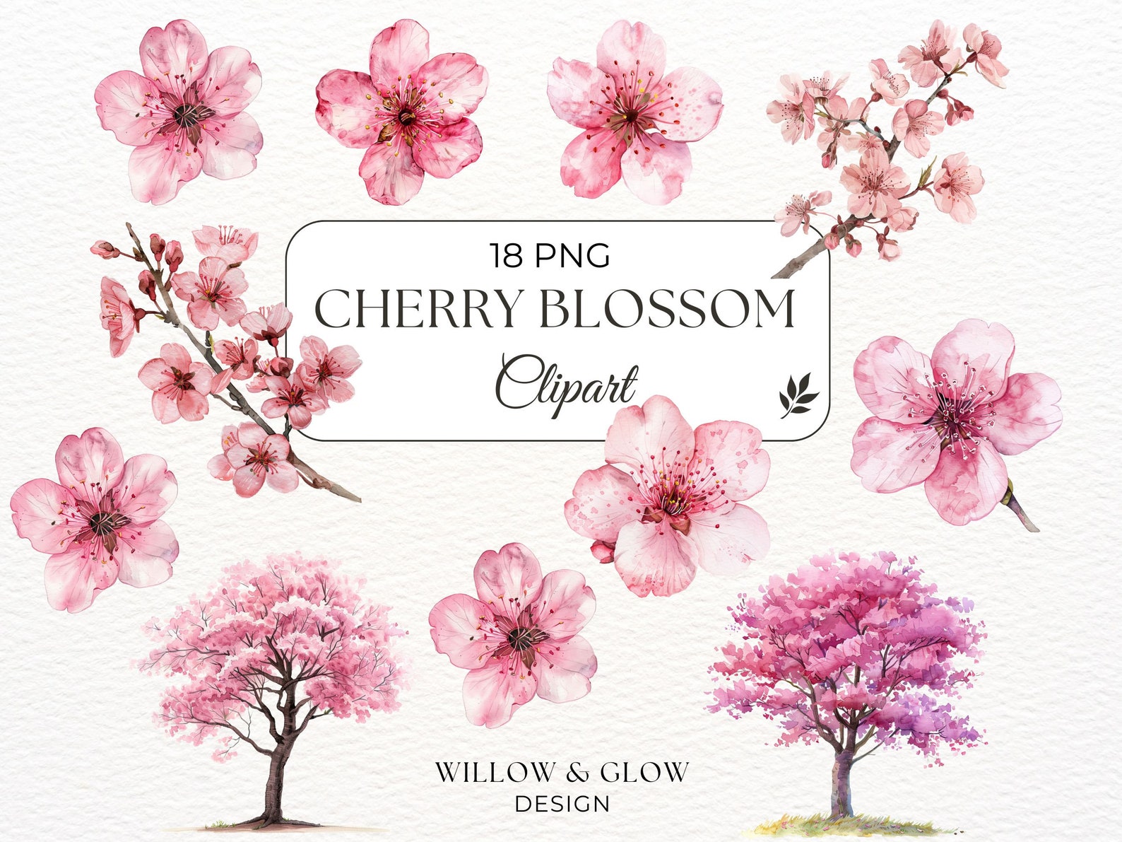 Cherry Blossom Clipart Set Sakura Flower Clipart Watercolor Flower Clip ...