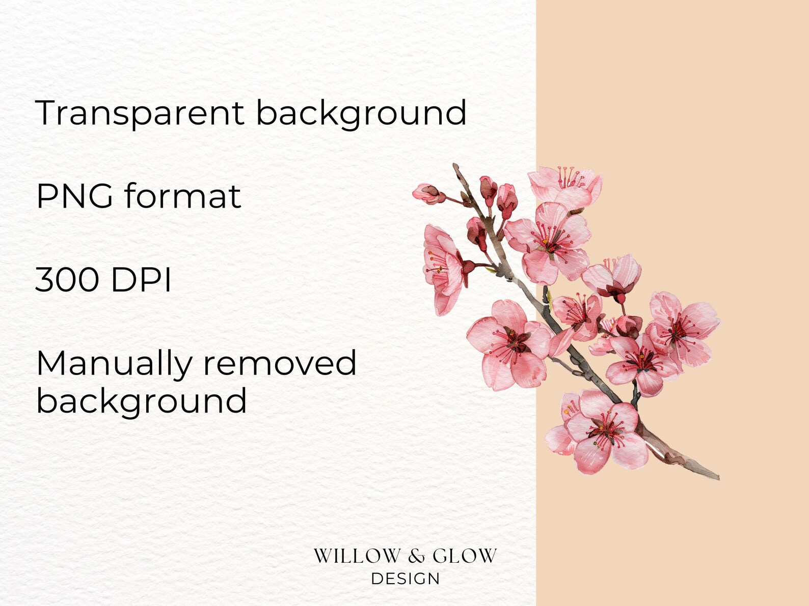 Cherry Blossom Clipart Set Sakura Flower Clipart Watercolor Flower Clip ...